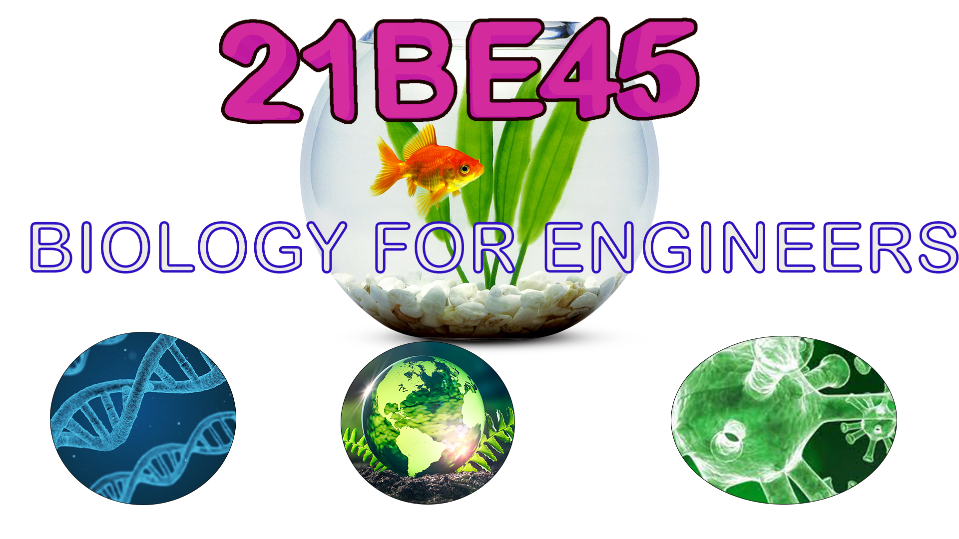 BIOLOGY FOR ENGINEERS - 21BE45